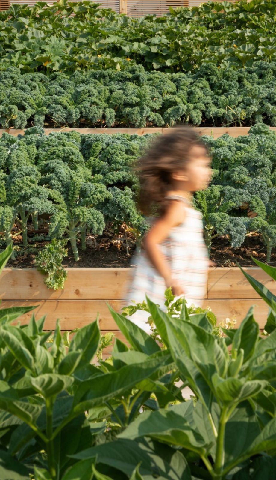 Grow Residence | Modern Office of Design + Architecture - Arch2O.com