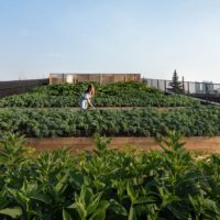 Grow Residence | Modern Office of Design + Architecture - Arch2O.com