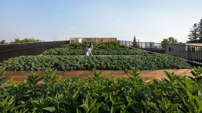 Grow Residence | Modern Office of Design + Architecture - Arch2O.com