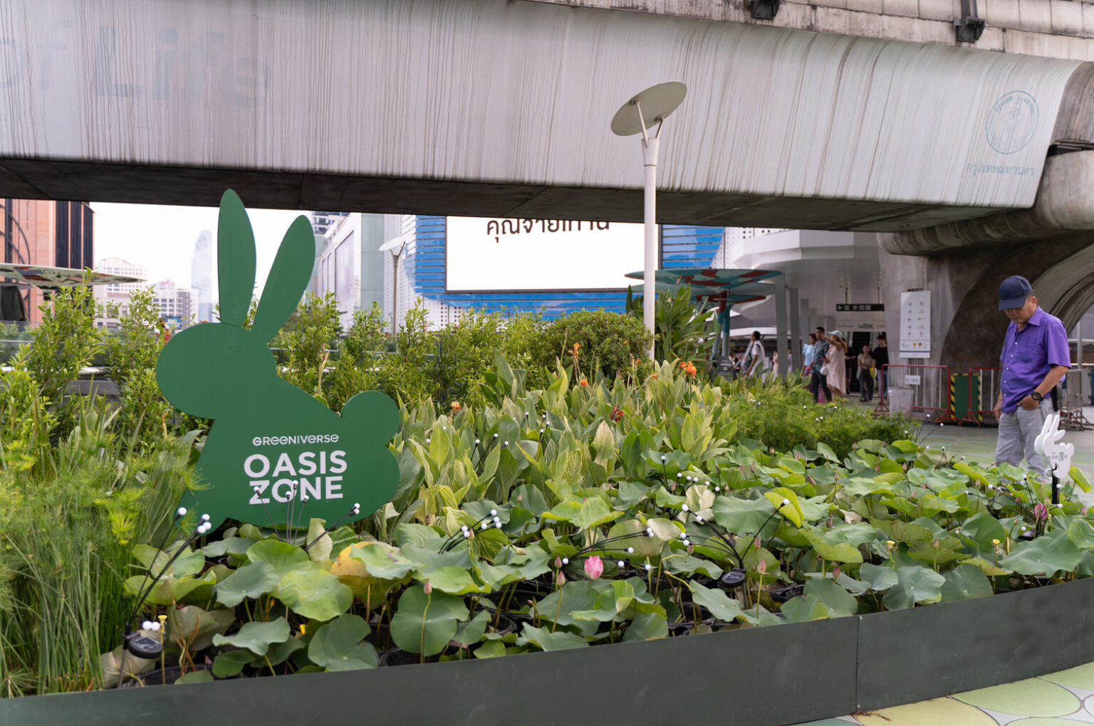 Hop Park, Green Pop-up Hop into the Greeniverse | Shma Company Limited ...