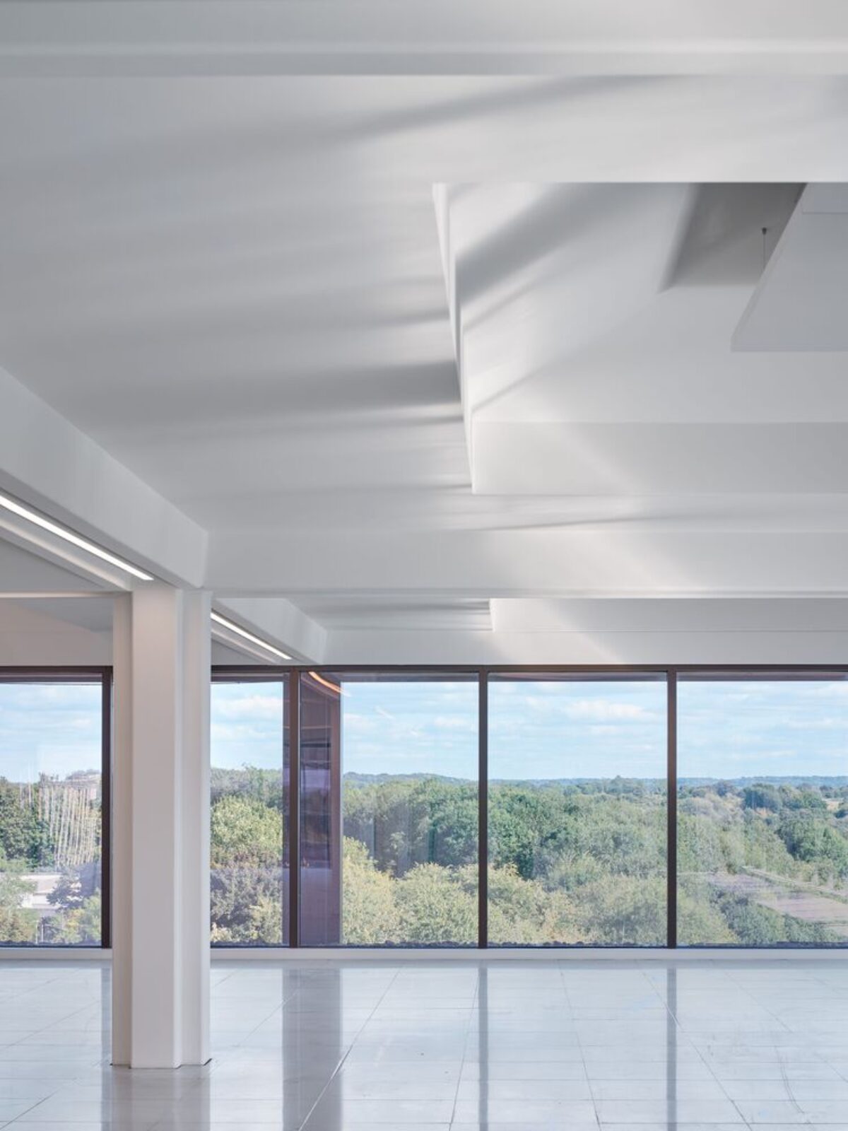 Plant Basingstoke Offices and Garden Restoration | Studio Knight Stokoe ...