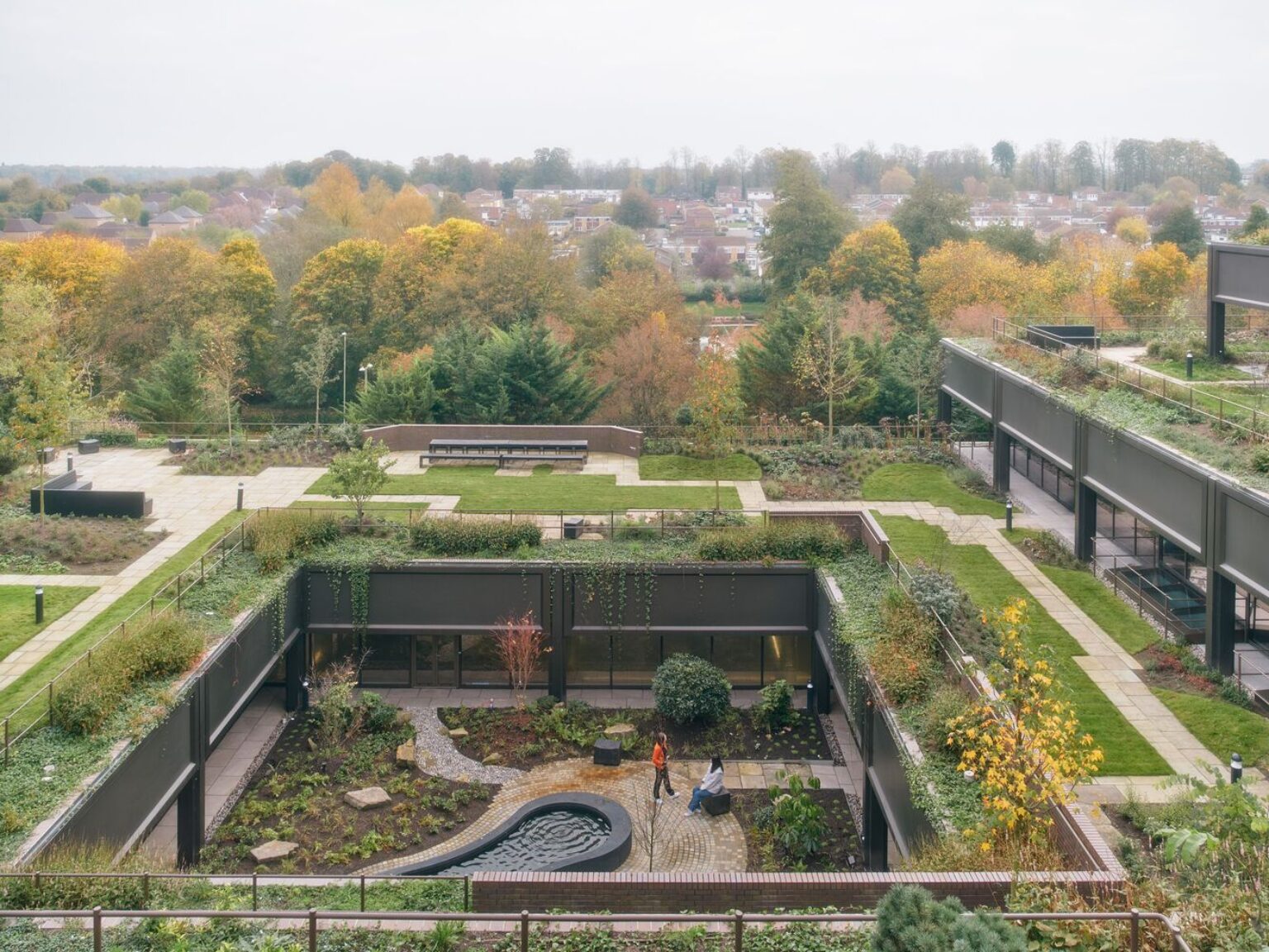 Plant Basingstoke Offices and Garden Restoration | Studio Knight Stokoe ...