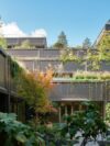 Plant Basingstoke Offices and Garden Restoration | Studio Knight Stokoe ...