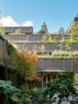 Plant Basingstoke Offices and Garden Restoration | Studio Knight Stokoe ...