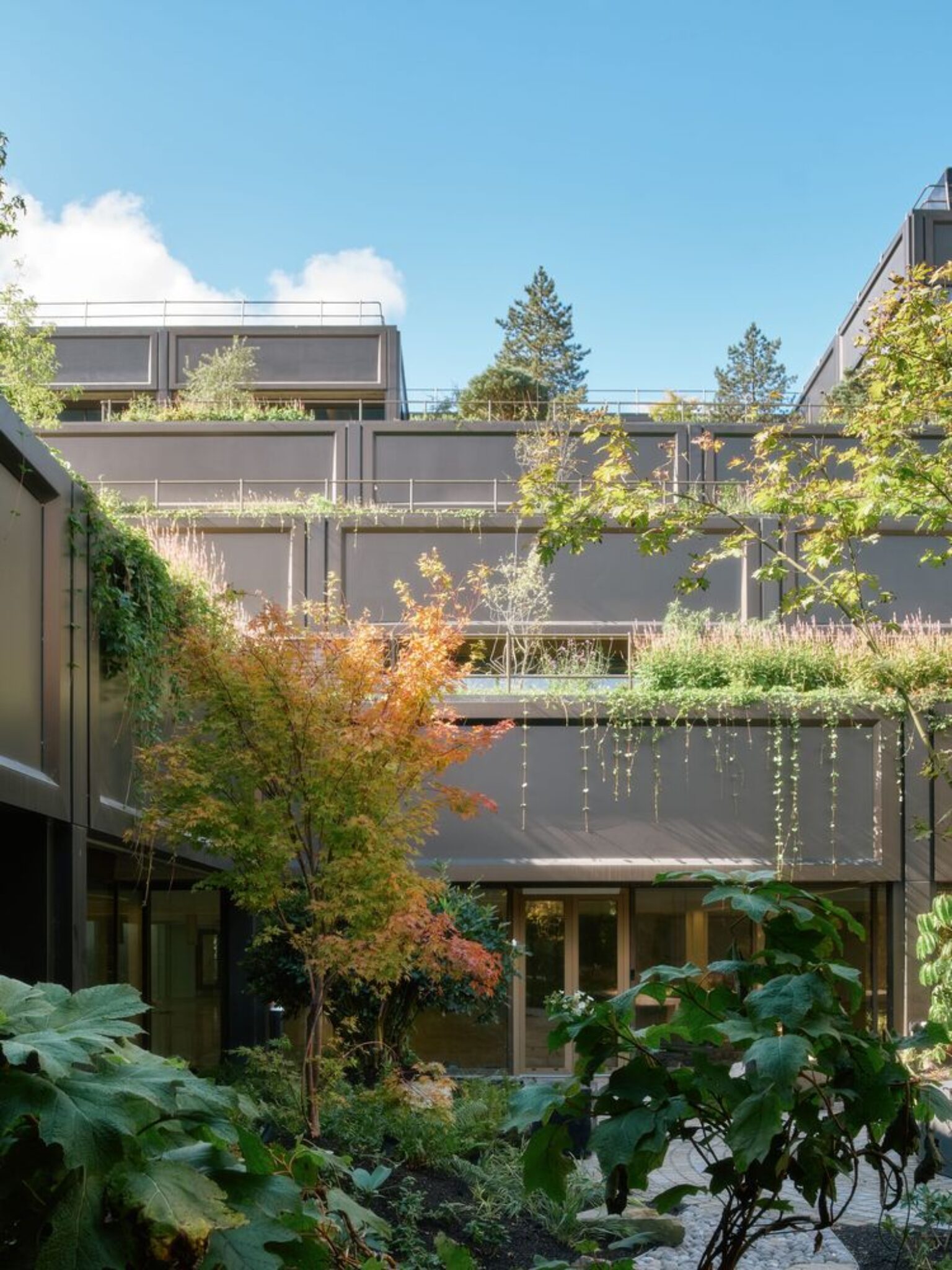 Plant Basingstoke Offices and Garden Restoration | Studio Knight Stokoe ...