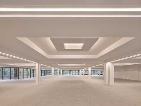 Plant Basingstoke Offices and Garden Restoration | Studio Knight Stokoe ...