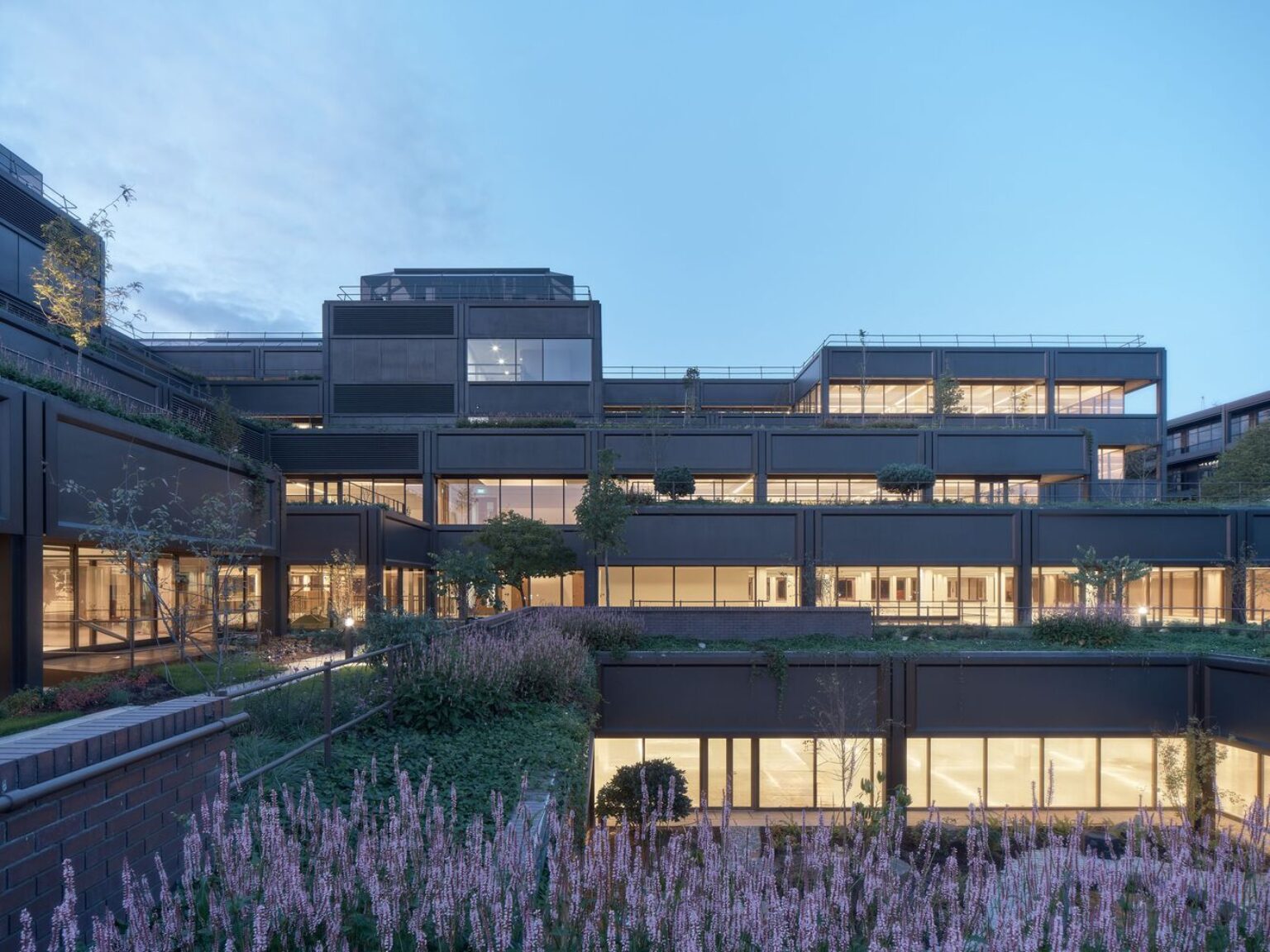 Plant Basingstoke Offices and Garden Restoration | Studio Knight Stokoe ...