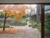 Plant Basingstoke Offices and Garden Restoration | Studio Knight Stokoe ...