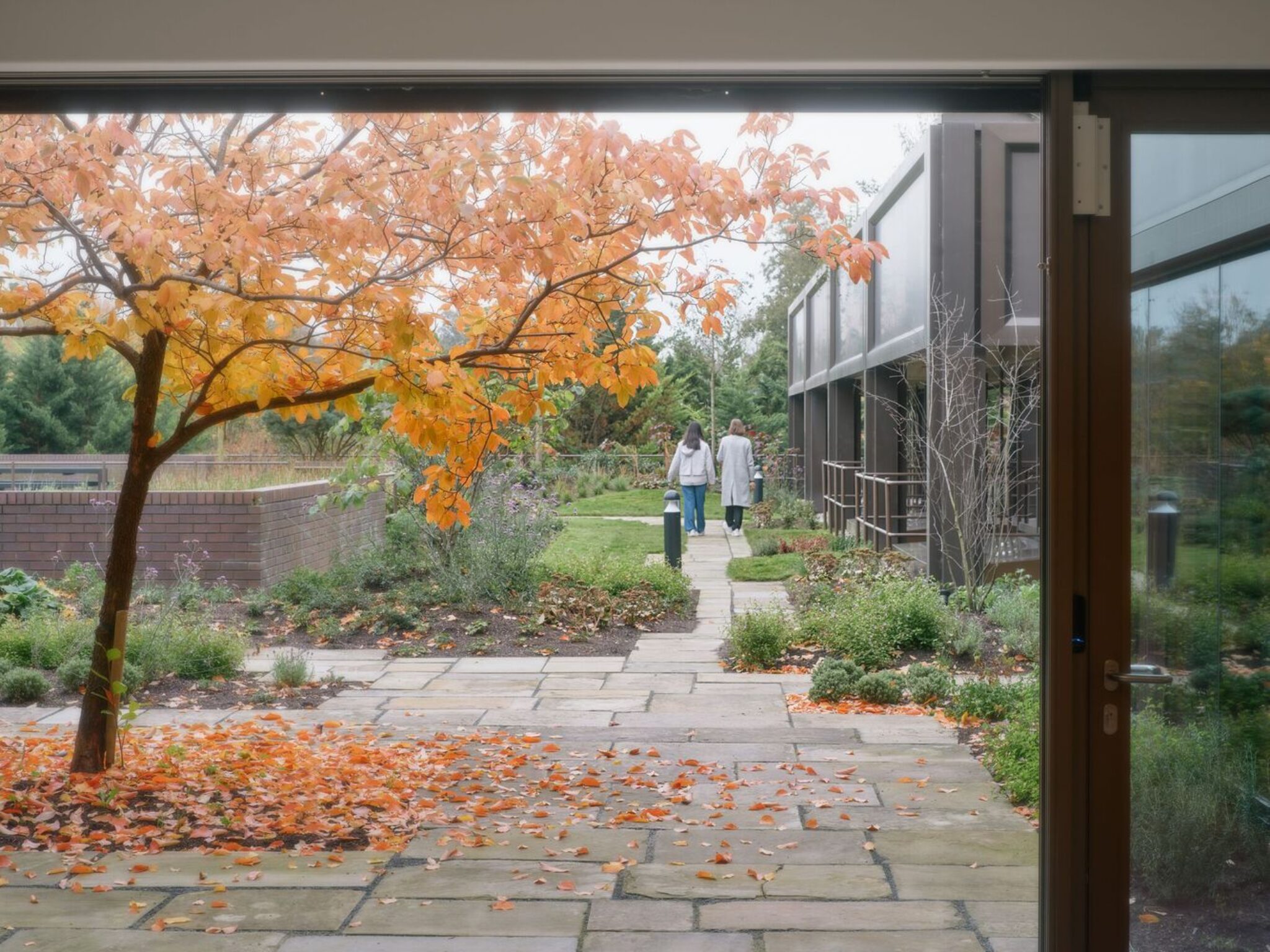 Plant Basingstoke Offices and Garden Restoration | Studio Knight Stokoe ...