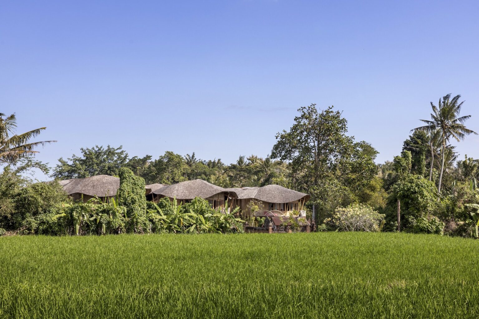 The Lovers - Clan Living | Ruang Nyaman - Arch2O.com