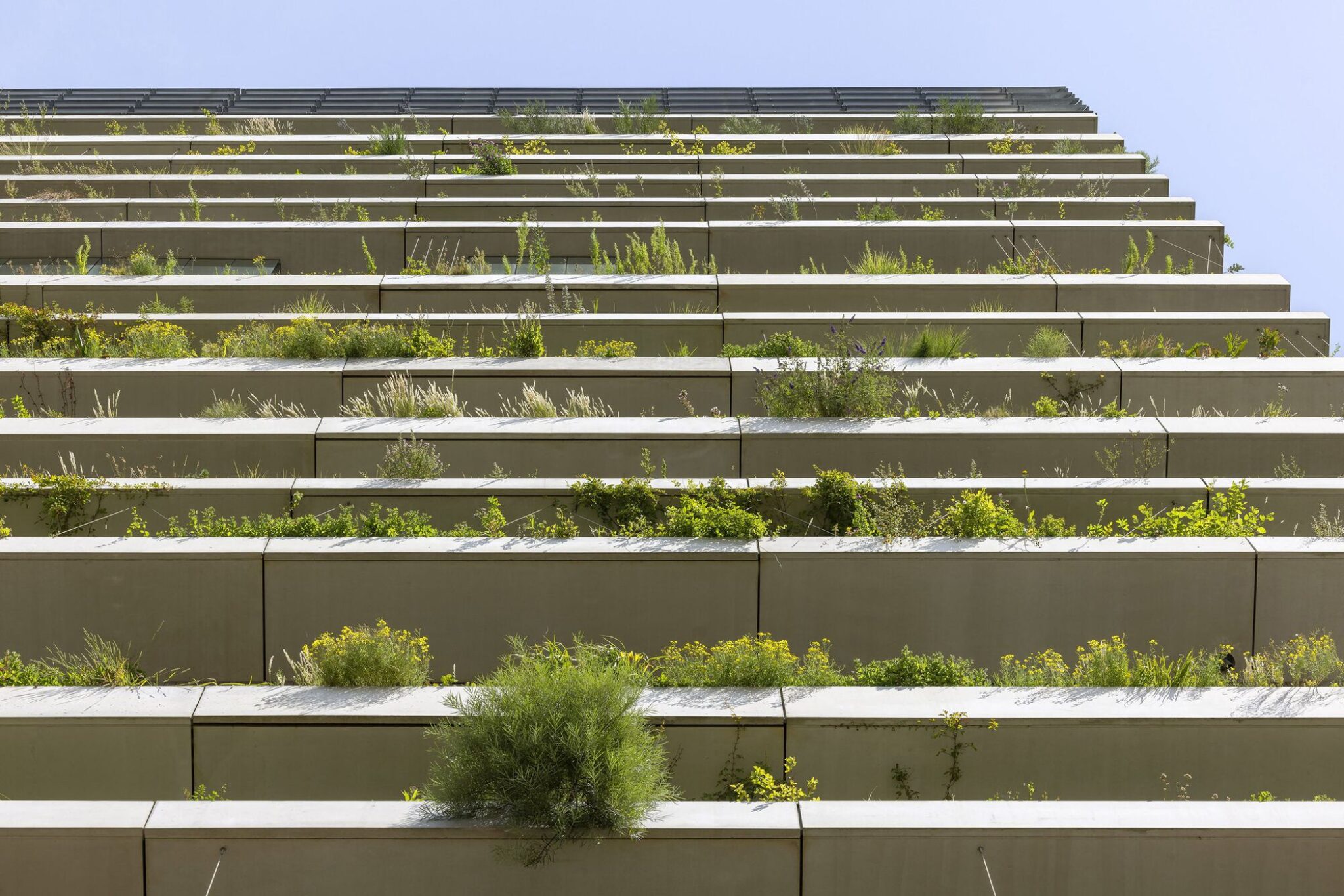 VERTICAL Building