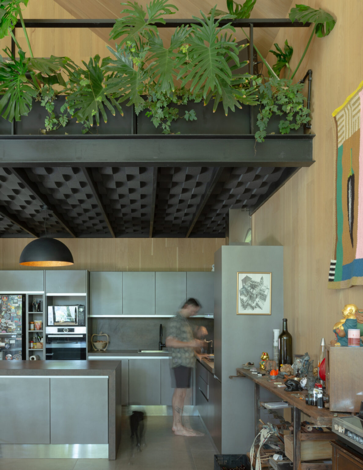 Arrow House | Mora Hughes Arquitectos - Arch2O.com