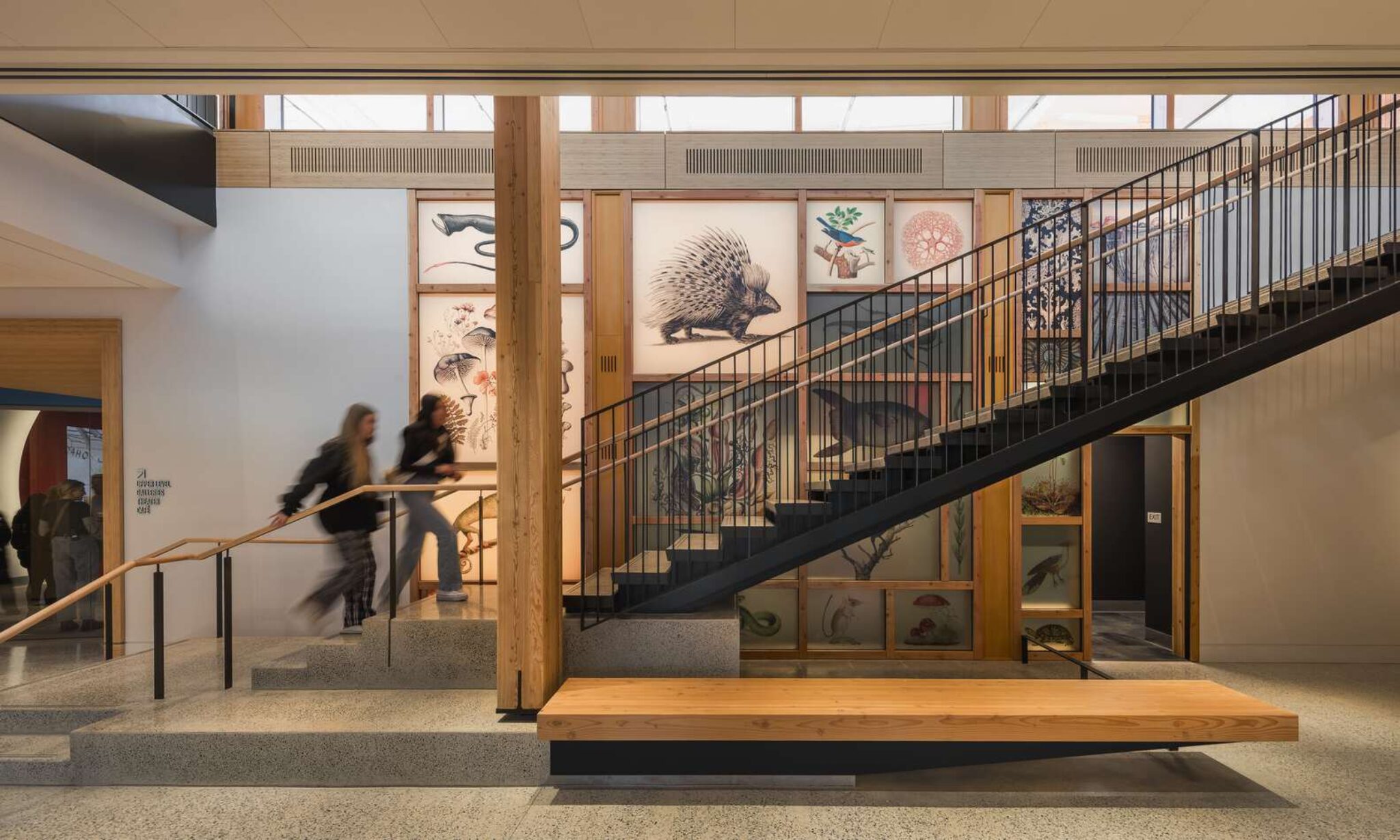 Jean & Ric Edelman Fossil Park & Museum | Ennead Architects - Arch2O.com
