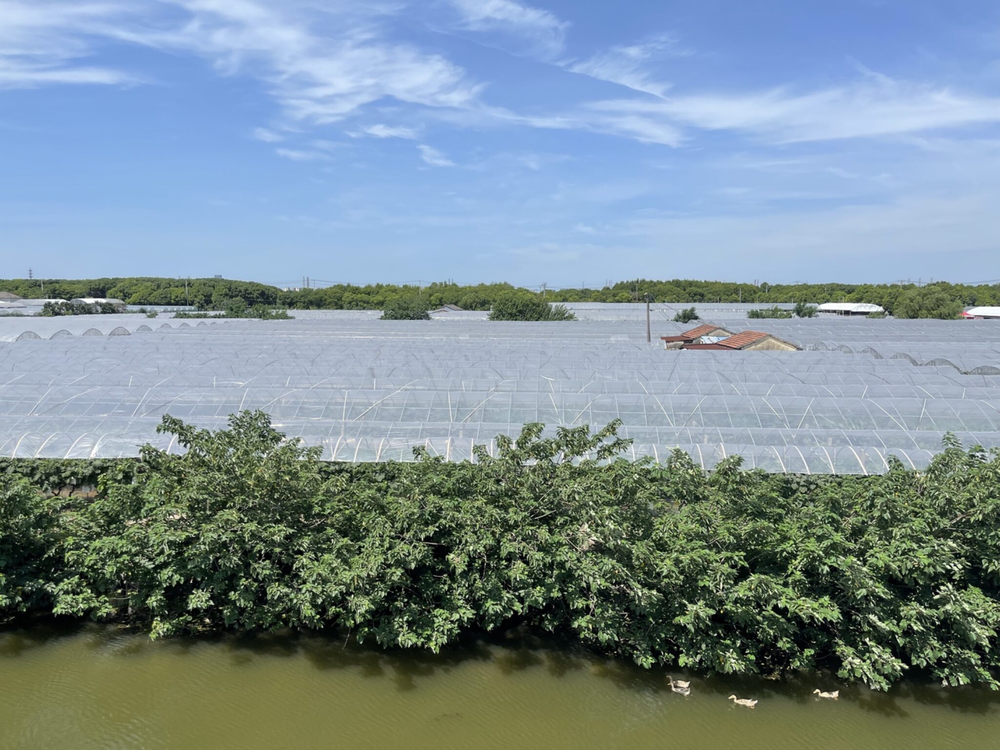 Su Yuan, House and Garden | Atelier Deshaus - Arch2O.com