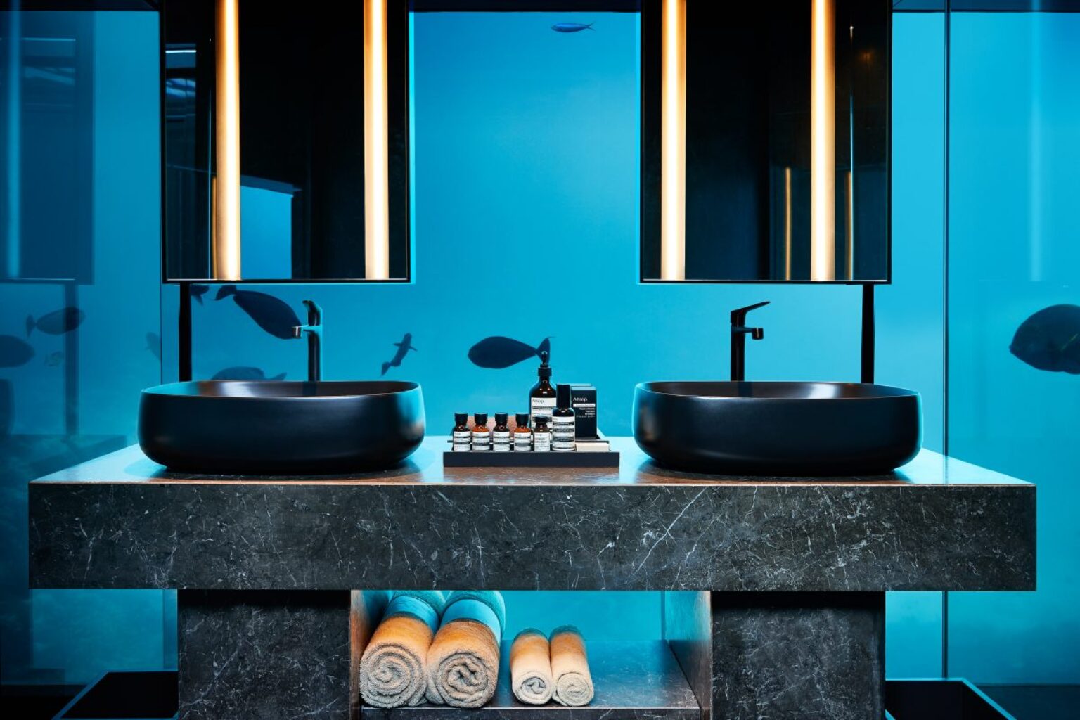 Sleeping with the Fishes: The Extraordinary World of Underwater Hotels ...