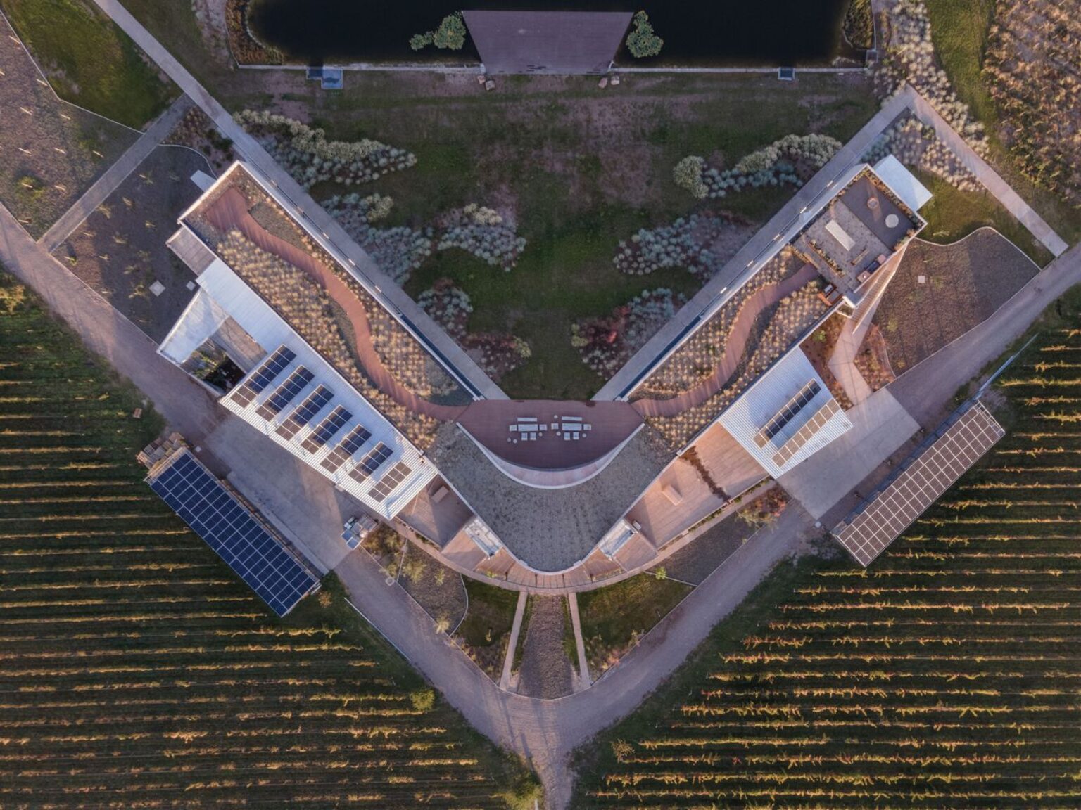 Alpamanta Winery | Japaz Guerra Arquitectos – Arch2O.com