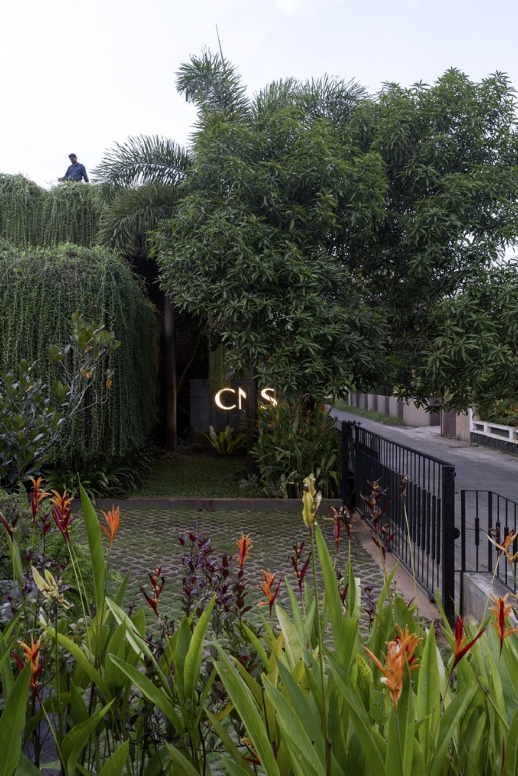 CNS Office | Studio Avocado - Arch2O.com