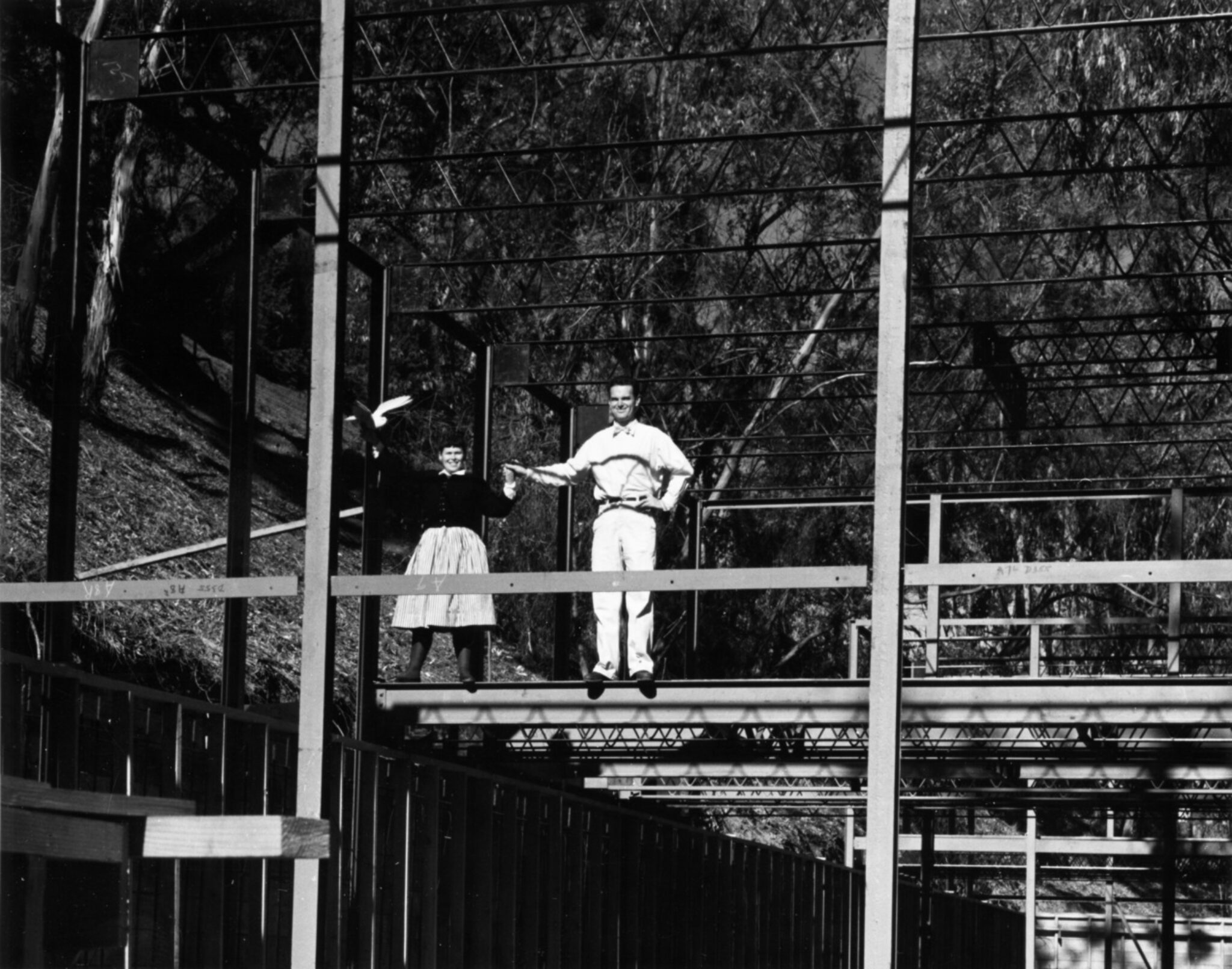 Following Restoration, Eames House Reopens to the Public with Enhanced ...