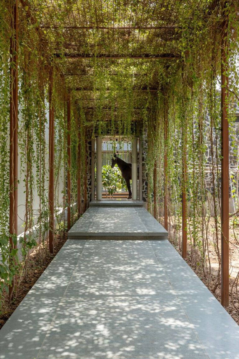 Vault House | MS DESIGN STUDIO – Arch2O.com