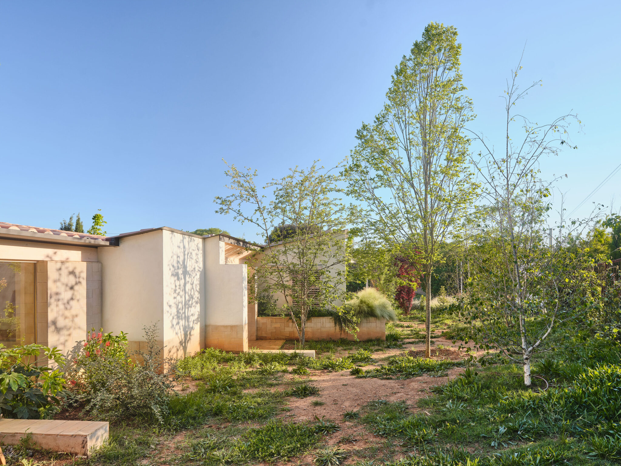 Butterfly House | Tallerdarquitectura – Arch2O.com