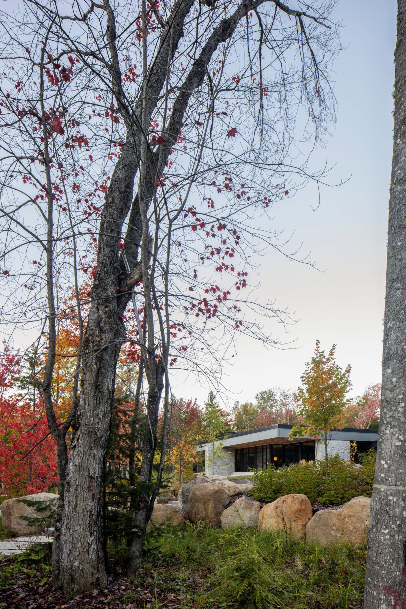 The House of la Baie de l’Ours | ACDF Architecture - Arch2O.com