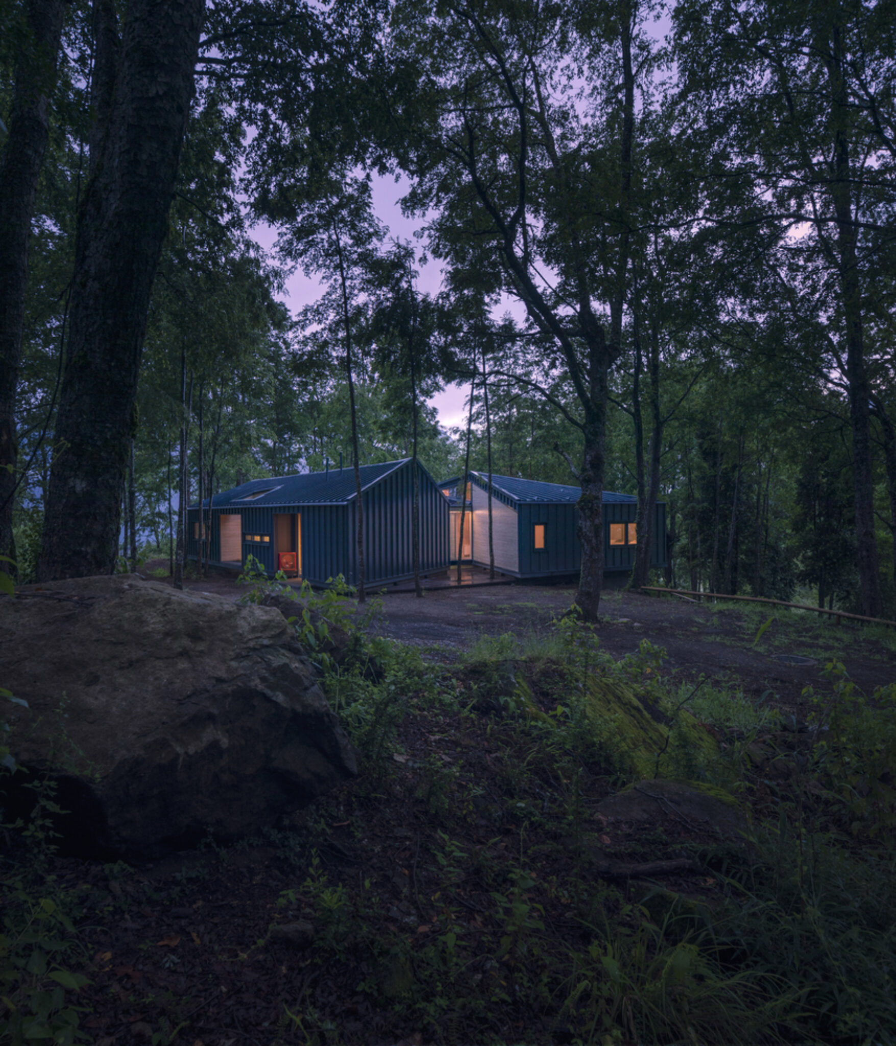 Forest House | Triangular - Arch2O.com