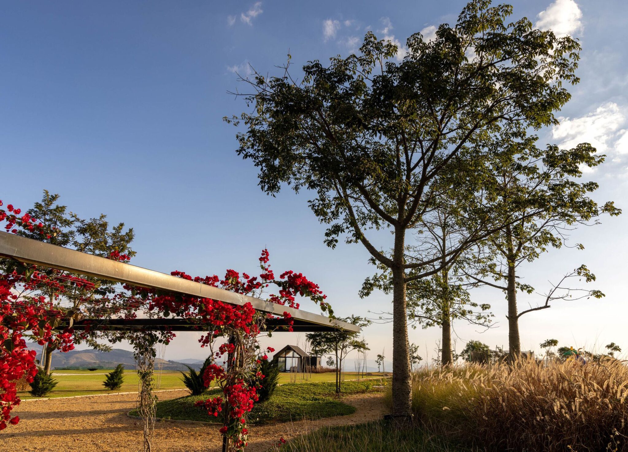 Rancho House | Landscape jardins - Arch2O.com