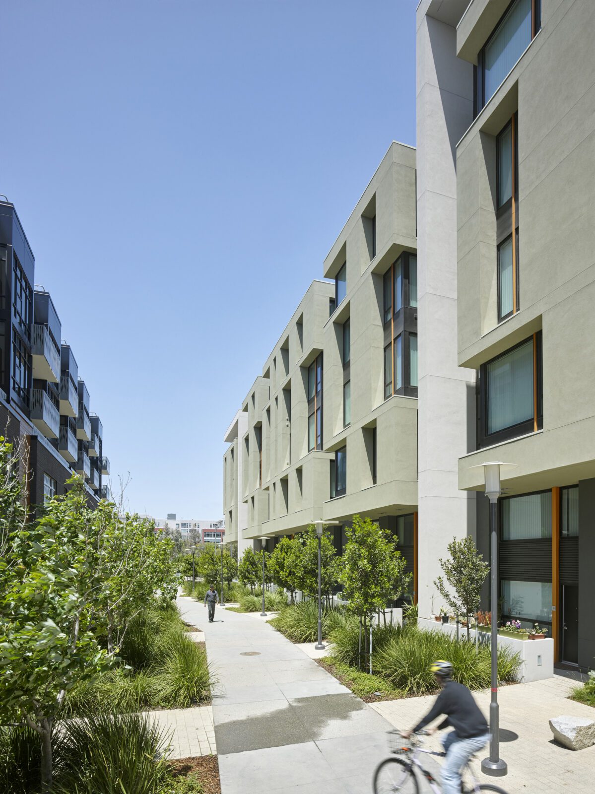 1180 Fourth Street | Mithun-Solomon + Kennerly Architecture and ...